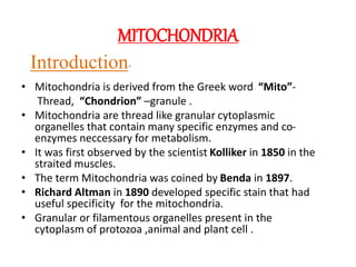 Cell Biology.pptx | Biological Sciences | Science