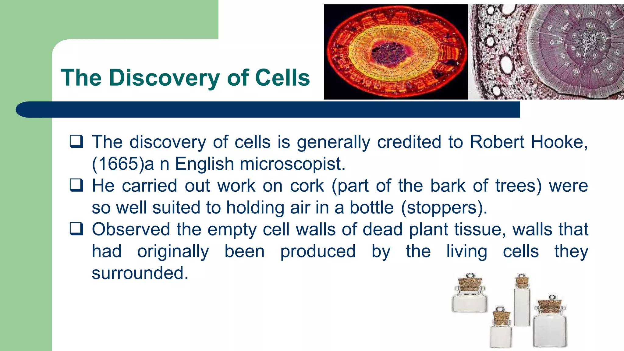 Introduction to Cell biology | PPTX