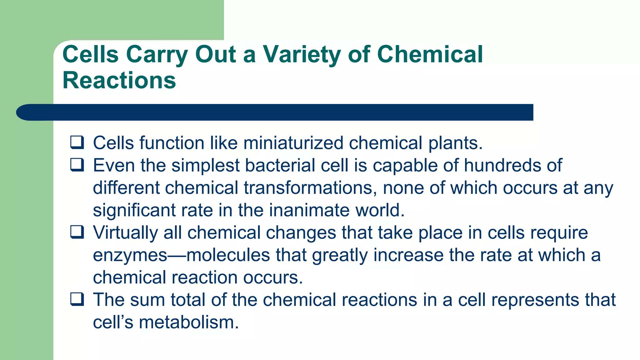 Introduction to Cell biology | PPTX | Biological Sciences | Science