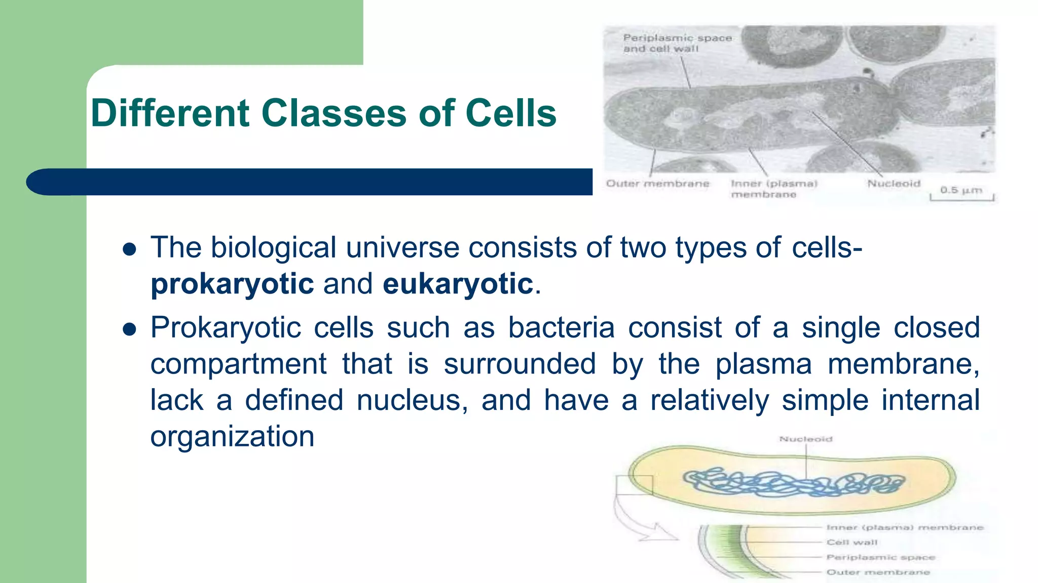 Introduction to Cell biology | PPTX | Biological Sciences | Science