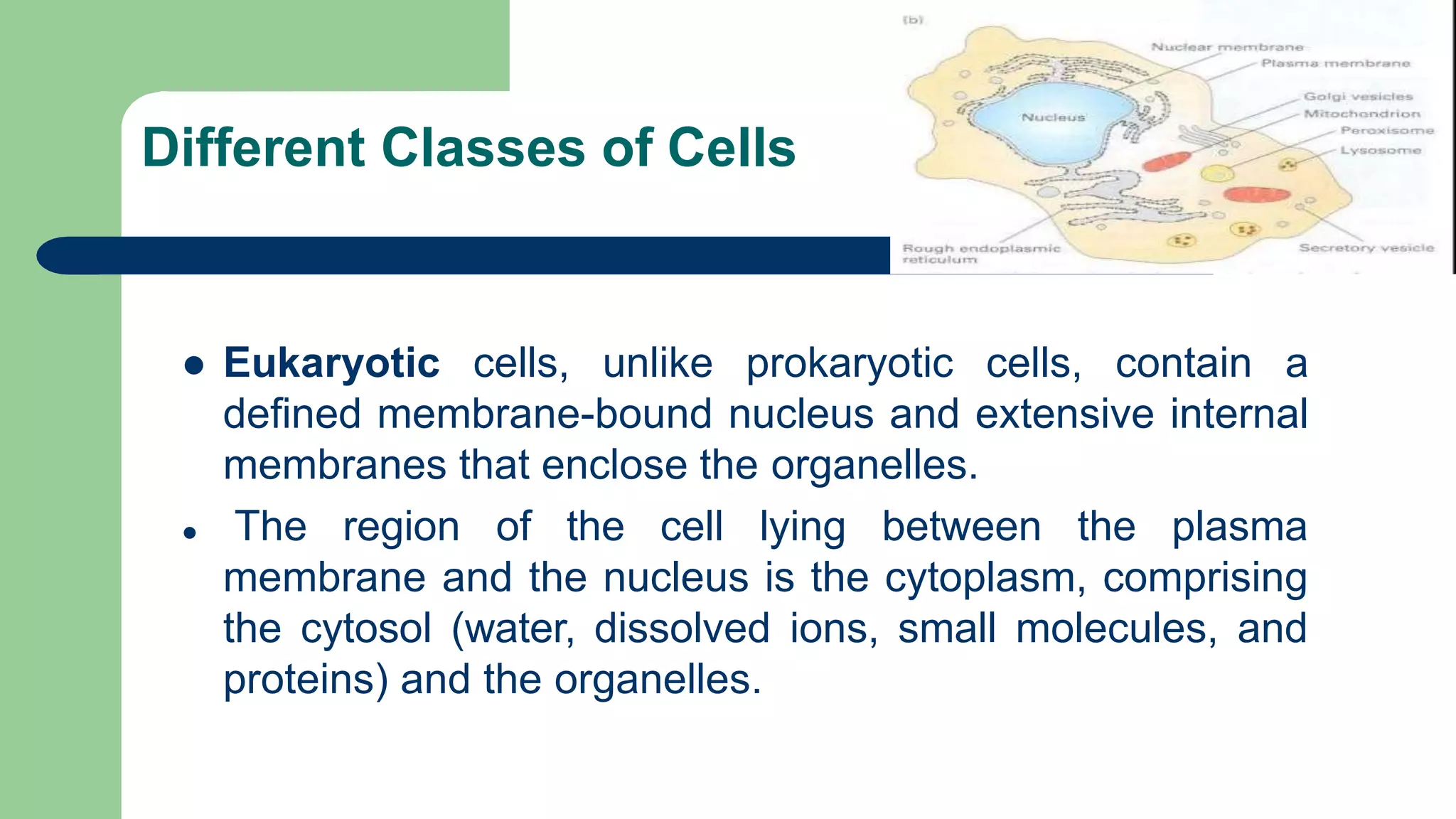 Introduction to Cell biology | PPTX | Biological Sciences | Science
