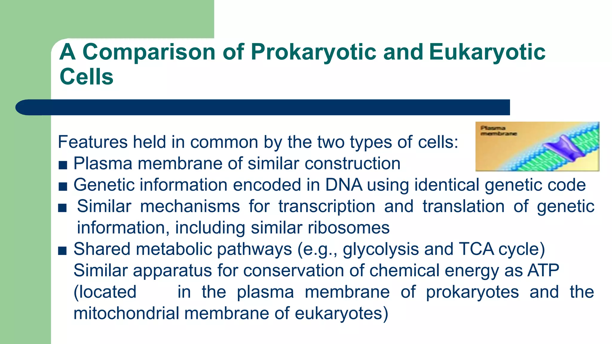 Introduction to Cell biology | PPTX