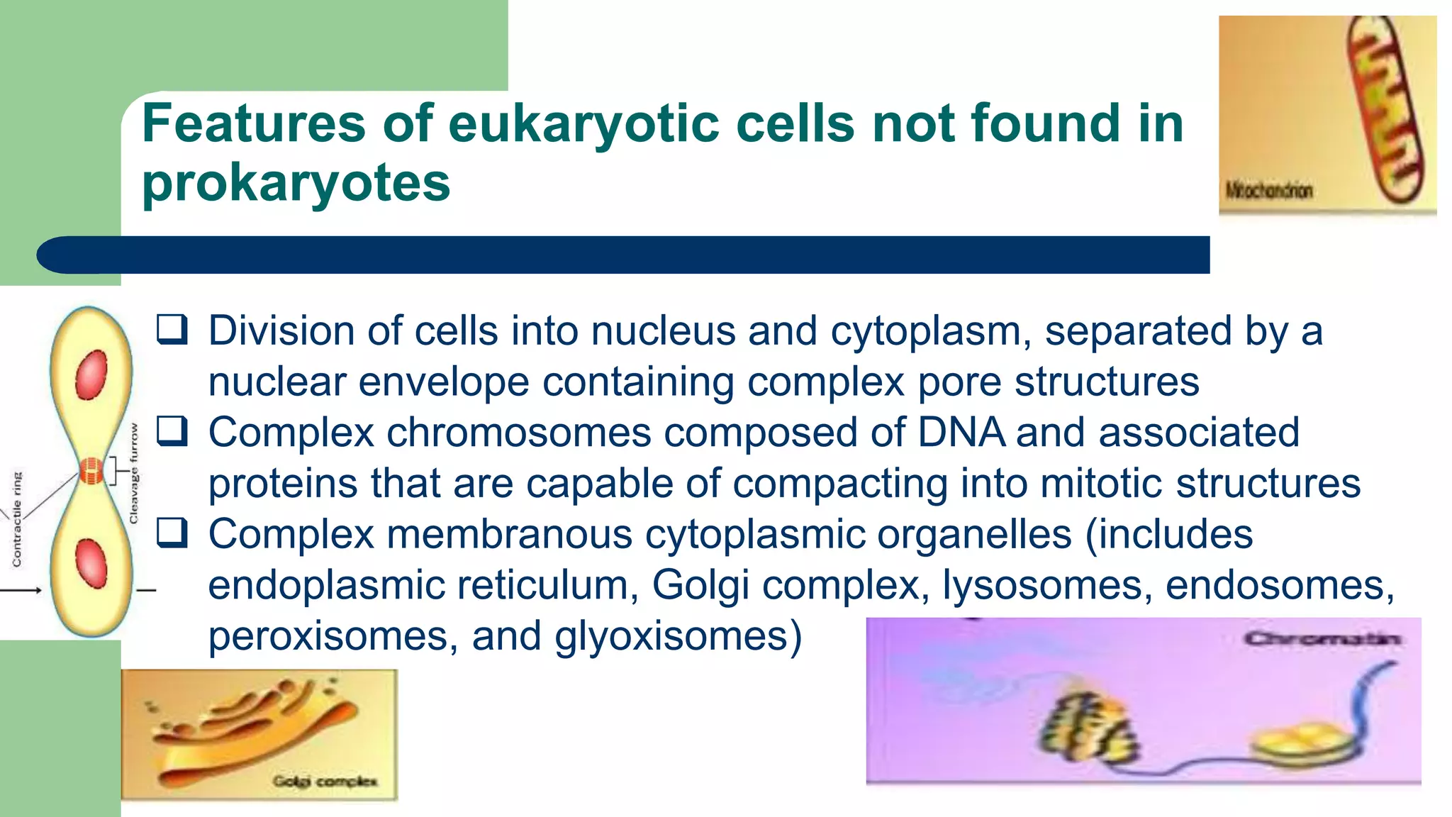 Introduction to Cell biology | PPTX