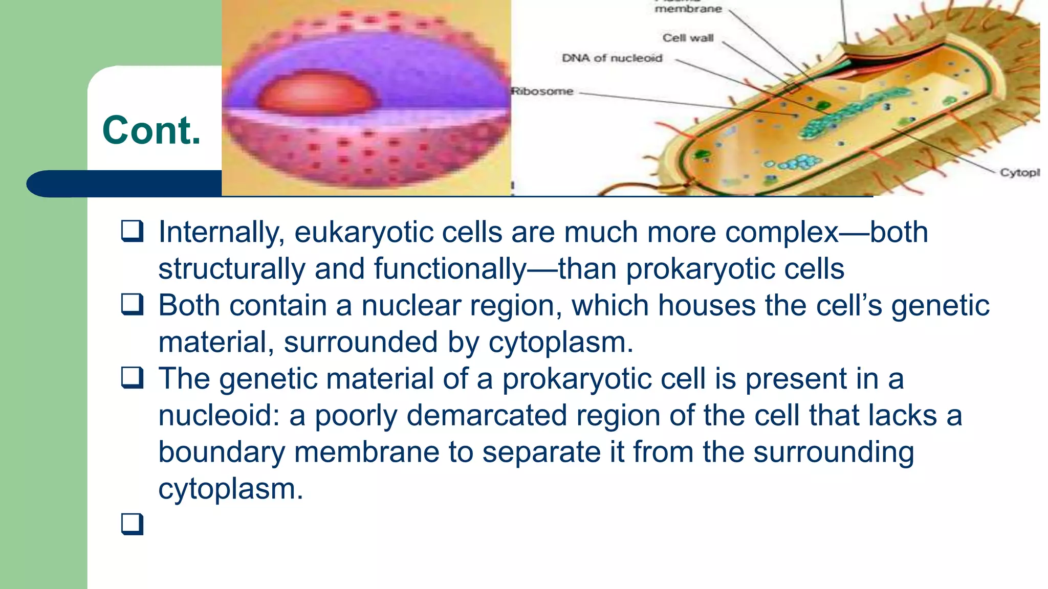 Introduction to Cell biology | PPTX | Biological Sciences | Science