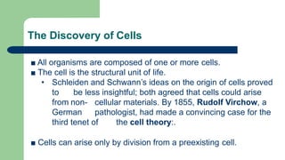 Introduction to Cell biology | PPTX
