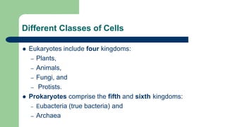 Introduction to Cell biology | PPTX