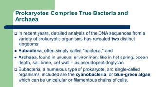 Introduction to Cell biology | PPTX