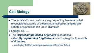Introduction to Cell biology | PPTX | Biological Sciences | Science