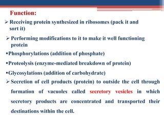 Cell biology lec 1.pdf.pdf