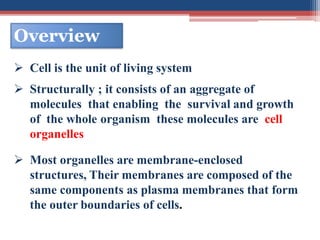 Cell biology lec 1.pdf.pdf