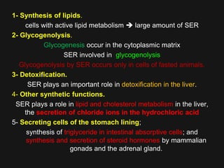 Cell Biology Lec 1.ppt