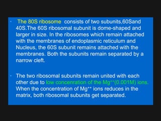 Cell Biology Lec 1.ppt