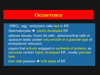 Cell Biology Lec 1.ppt