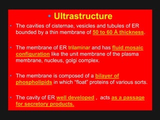 Cell Biology Lec 1.ppt