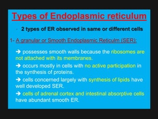 Cell Biology Lec 1.ppt