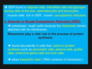 Cell Biology Lec 1.ppt