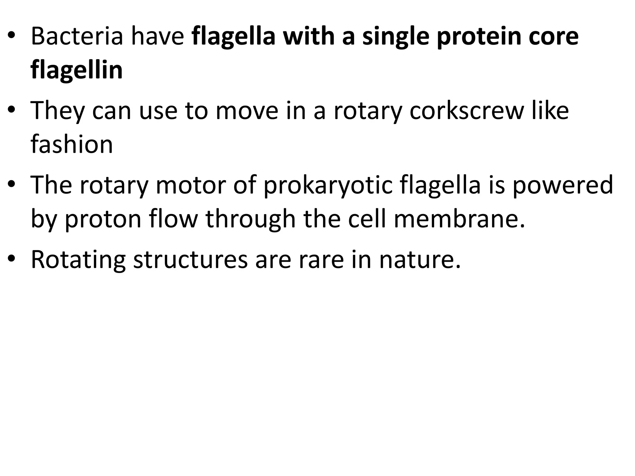 CELL BIOLOGY LECTURE. Cells described in the purest of forms. | PPT