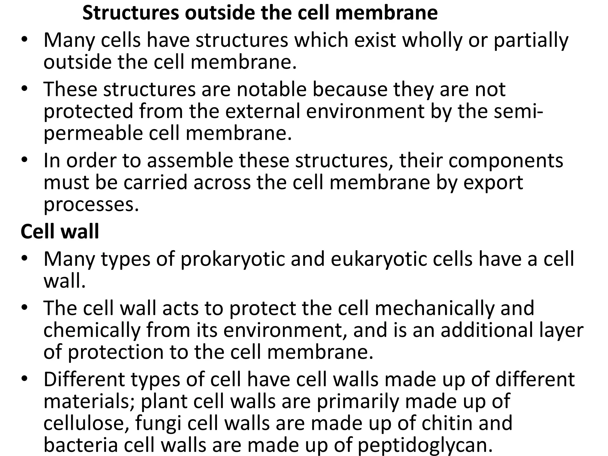 CELL BIOLOGY LECTURE. Cells described in the purest of forms. | PPT