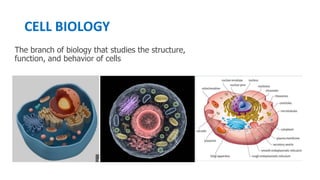 Cell Biology Basics: Cell Theory, Structure, Types, and Organelles | BS ...