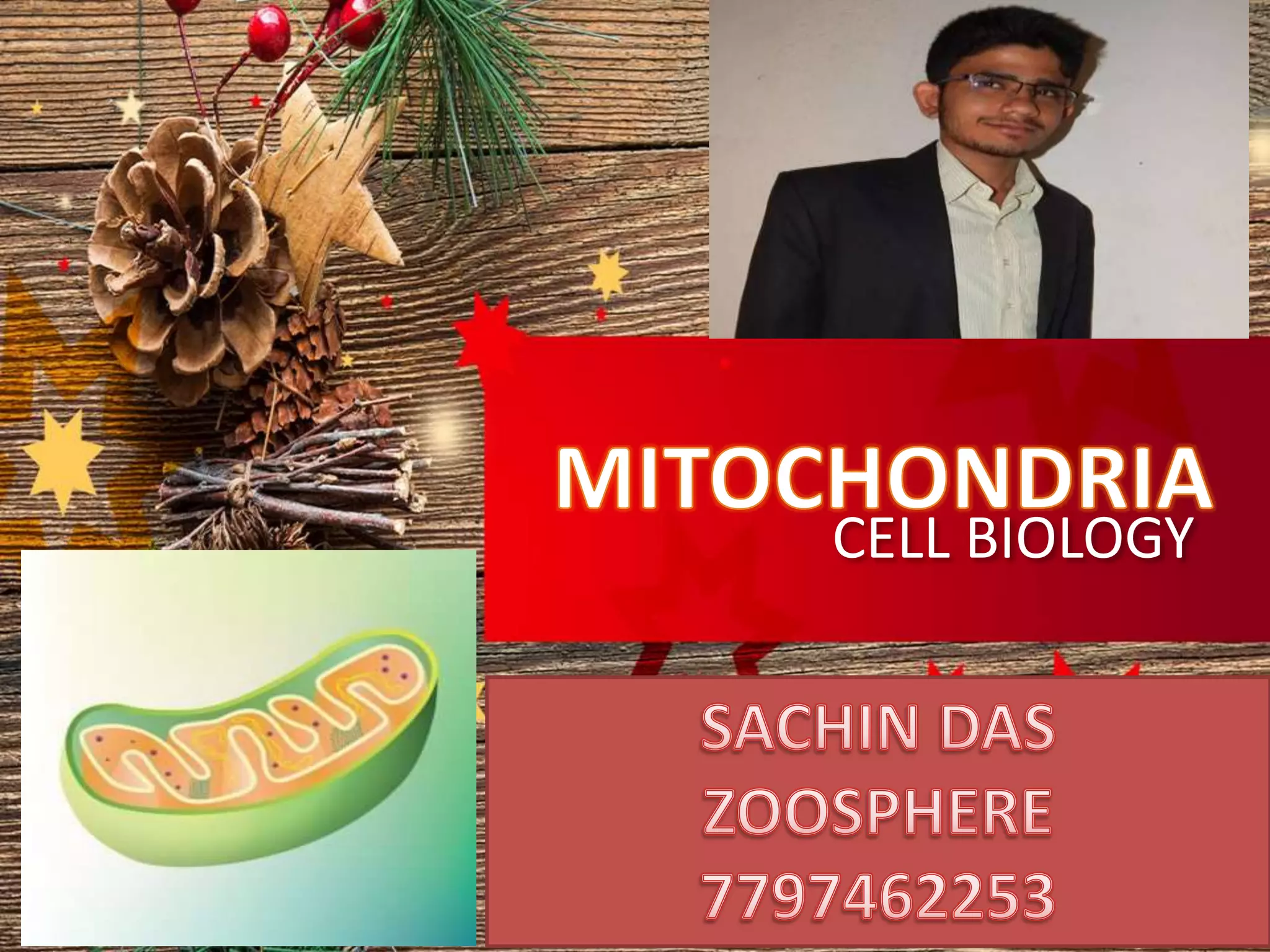 Cell biology mitochondria | PPTX