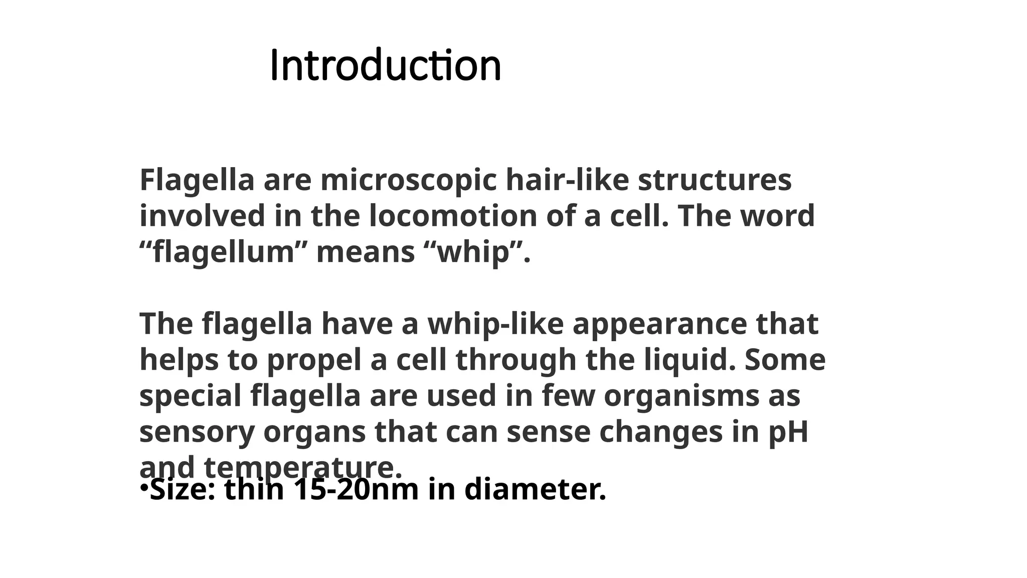 cell biology flagella motility ppt by Neha | PPTX