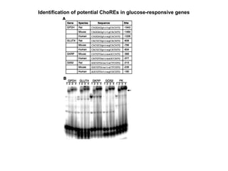 Cell biology of carbohydrate metabolism.ppt