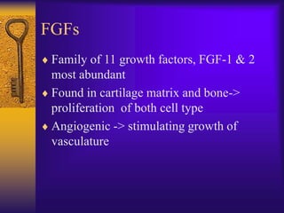 Cell Biology of the Musculoskeletal System.ppt
