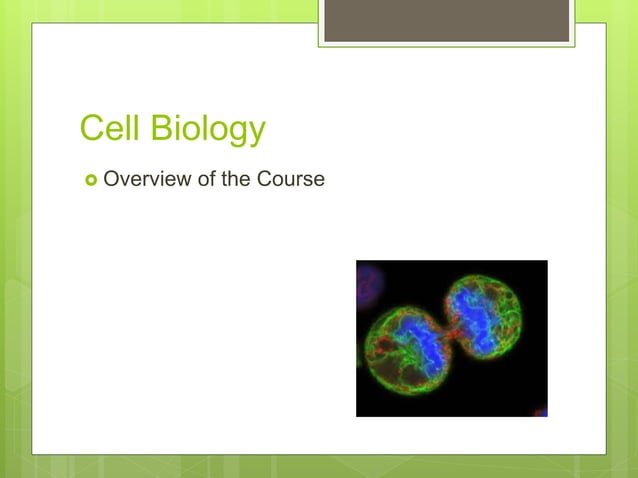 Cell biology overview | PPT