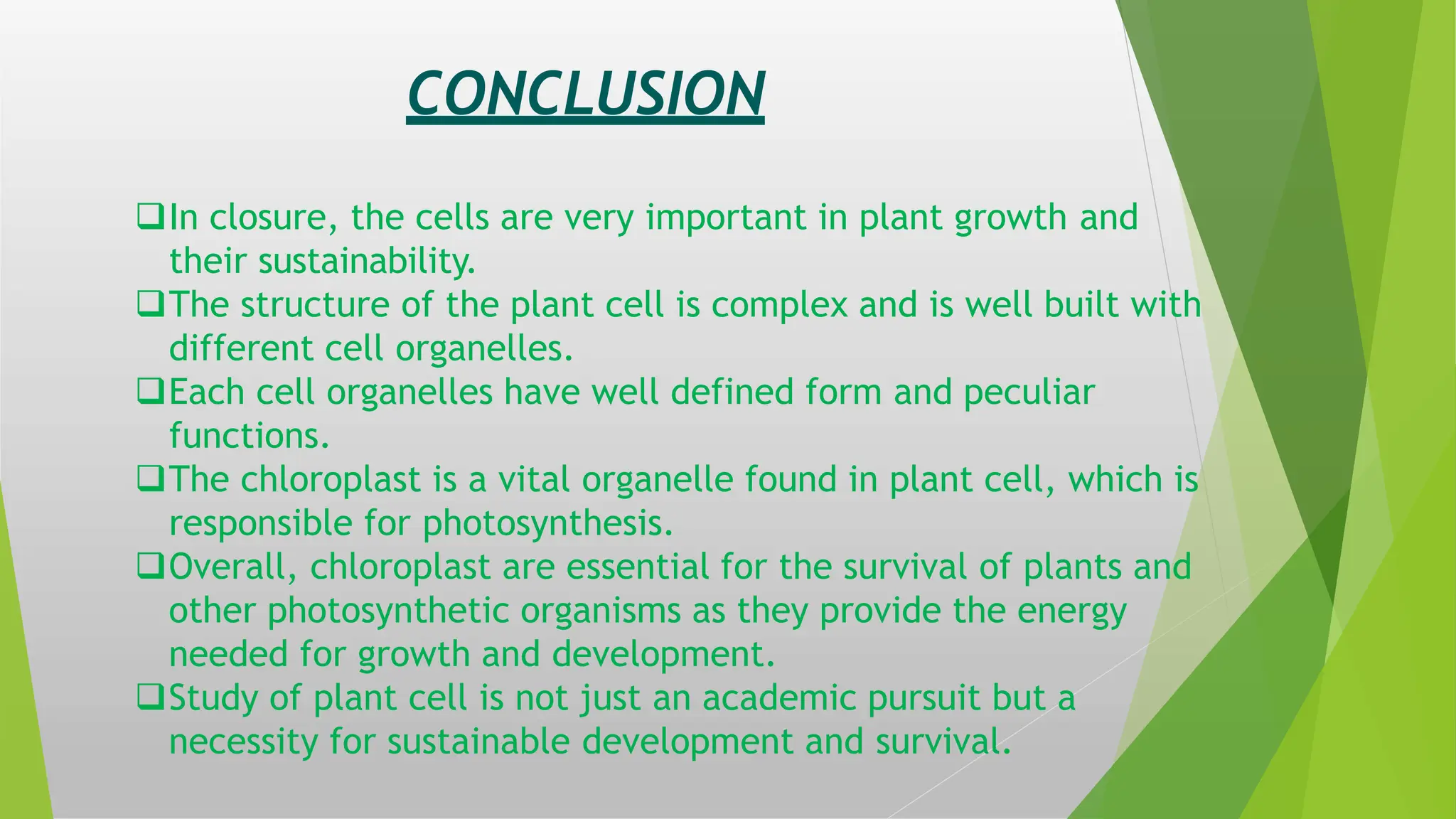 ASSIGNMENT - Cell biology | PPTX