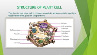 ASSIGNMENT - Cell biology | PPTX