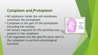 ASSIGNMENT - Cell biology | PPT