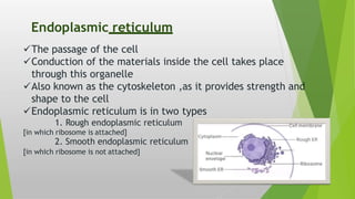 ASSIGNMENT - Cell biology | PPT