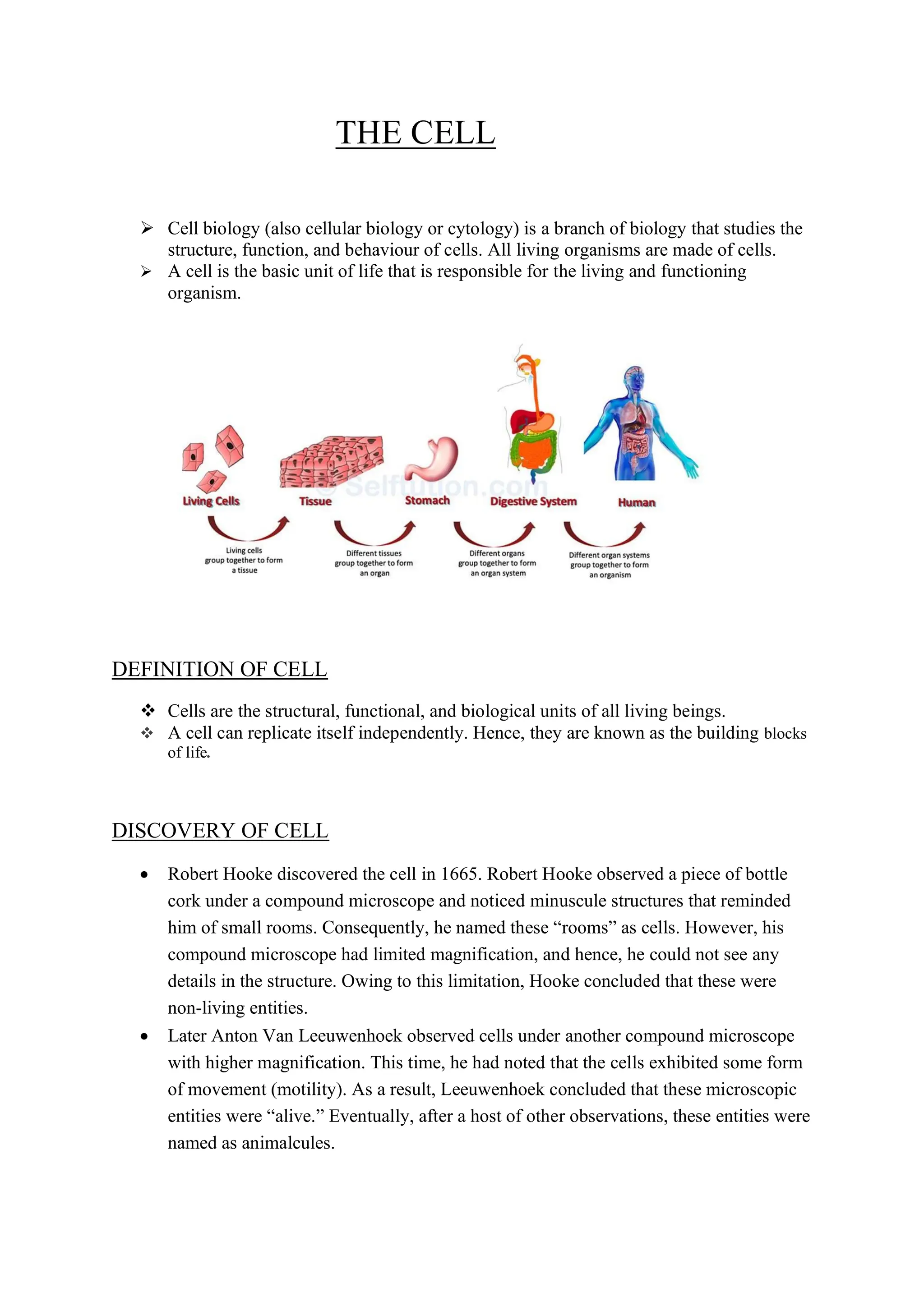cell biology pdf notes. cell details structure & its fuction | PDF ...