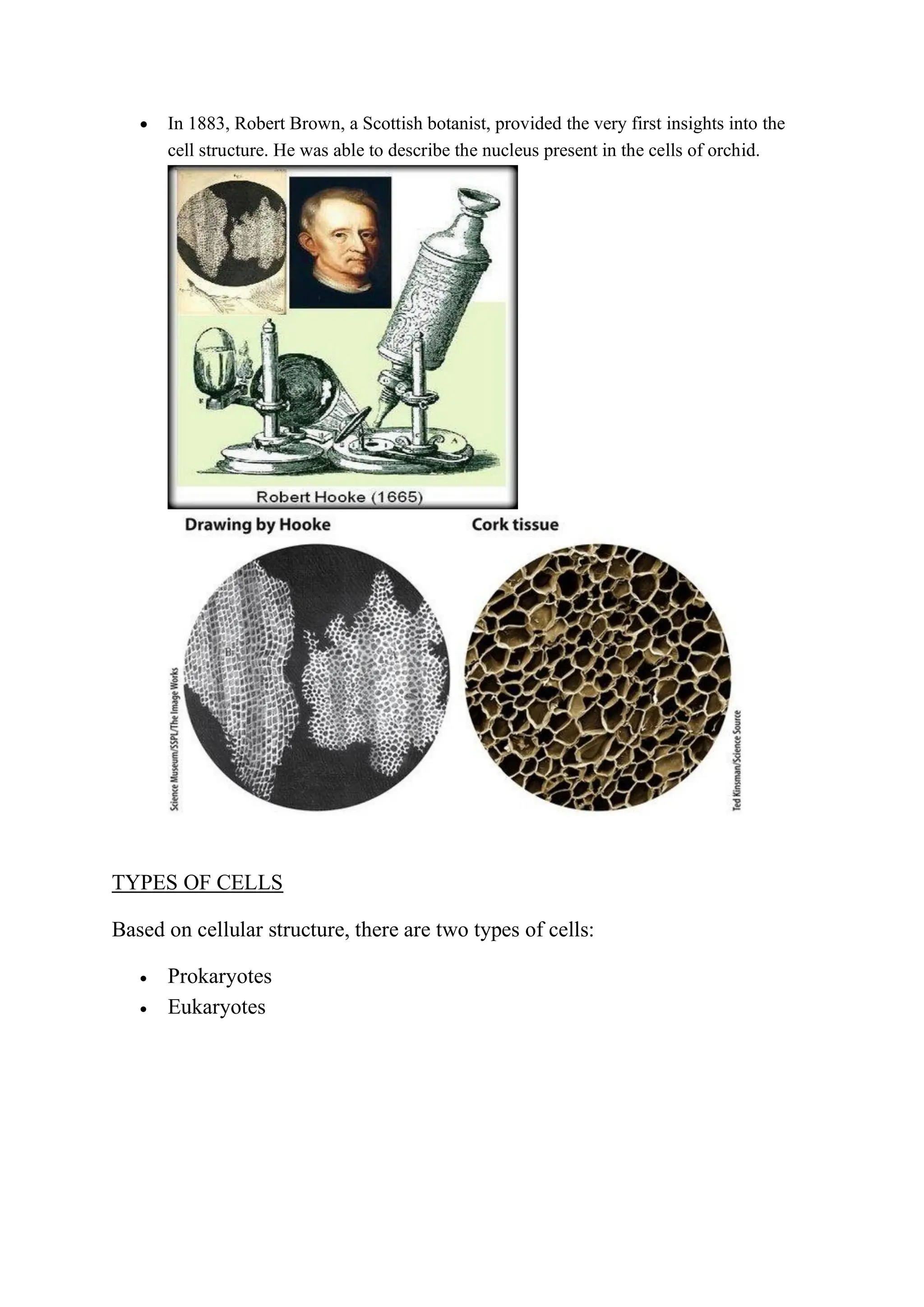 cell biology pdf notes. cell details structure & its fuction | PDF