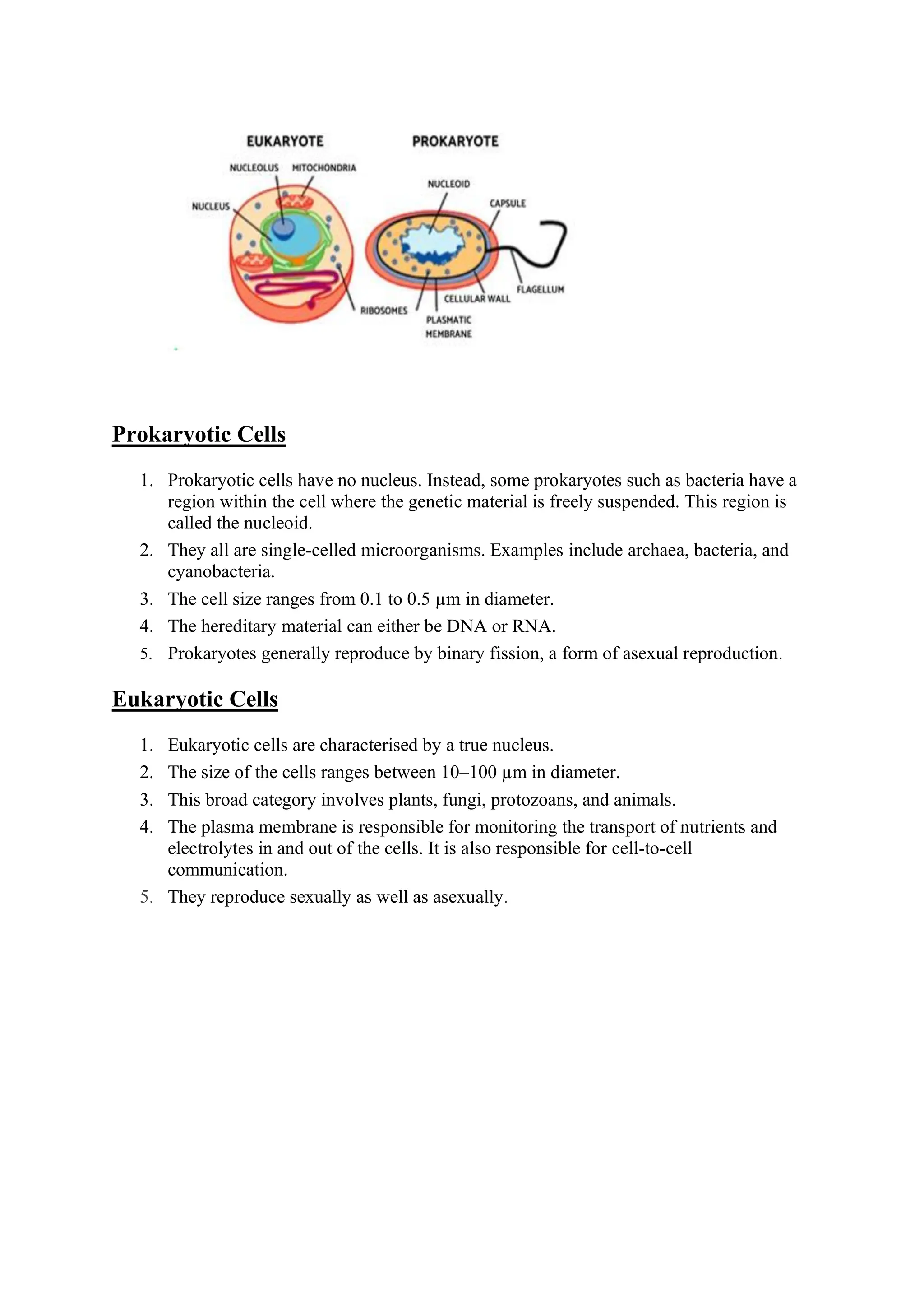 cell biology pdf notes. cell details structure & its fuction | PDF