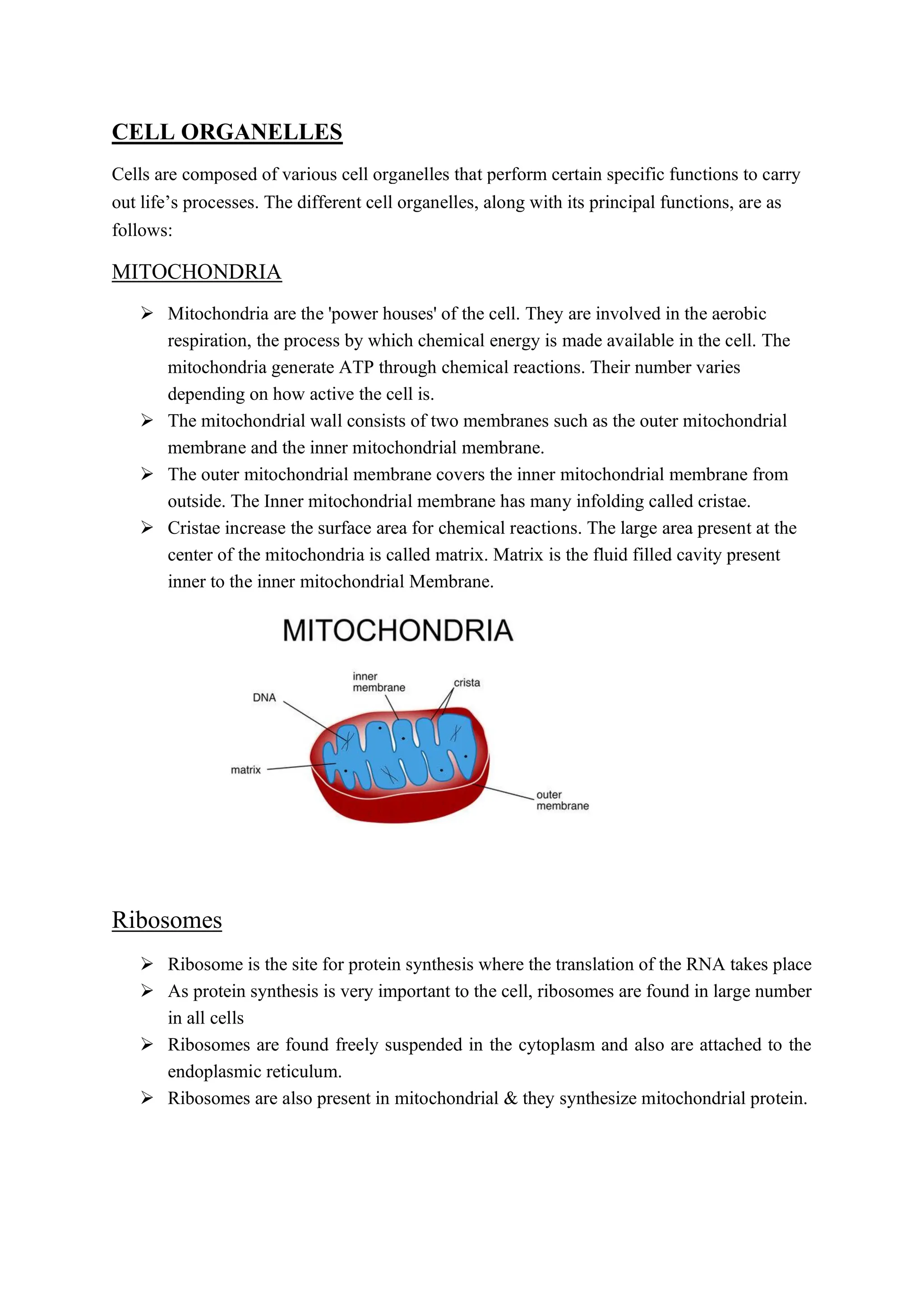 cell biology pdf notes. cell details structure & its fuction | PDF