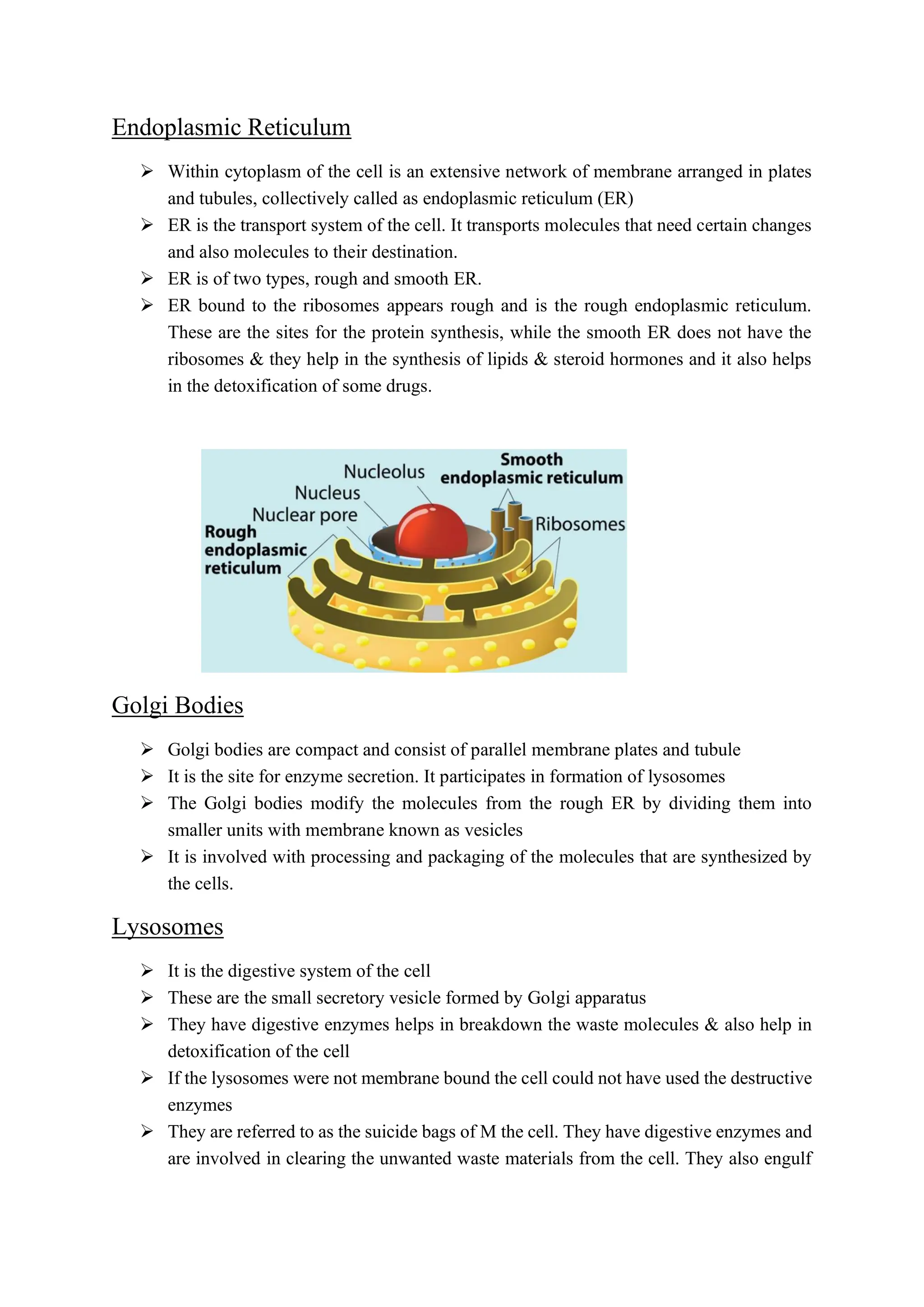 cell biology pdf notes. cell details structure & its fuction | PDF