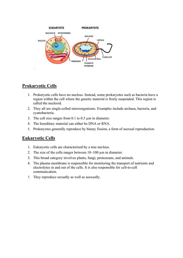 cell biology pdf notes. cell details structure & its fuction | PDF ...