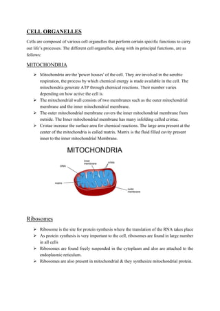 cell biology pdf notes. cell details structure & its fuction | PDF