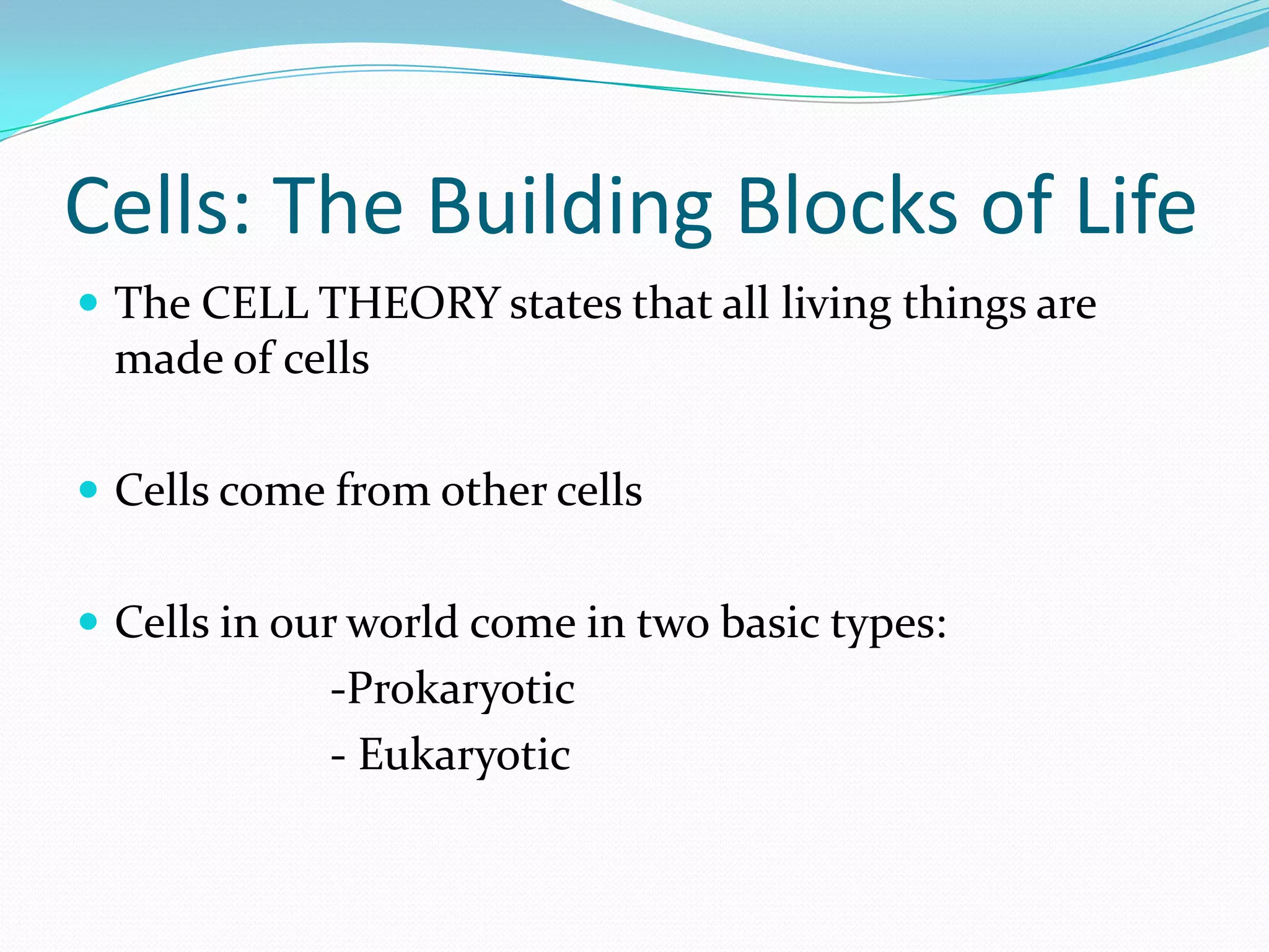 Cell Biologyppt | PPTX