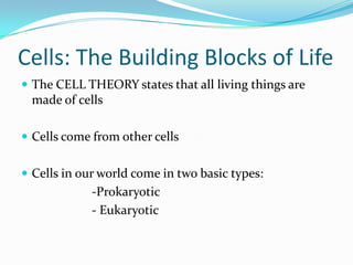 Cell Biologyppt | PPT