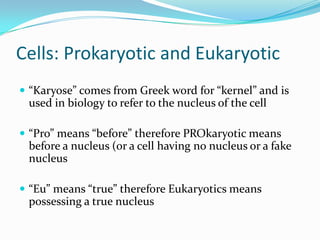 Cell Biologyppt | PPT
