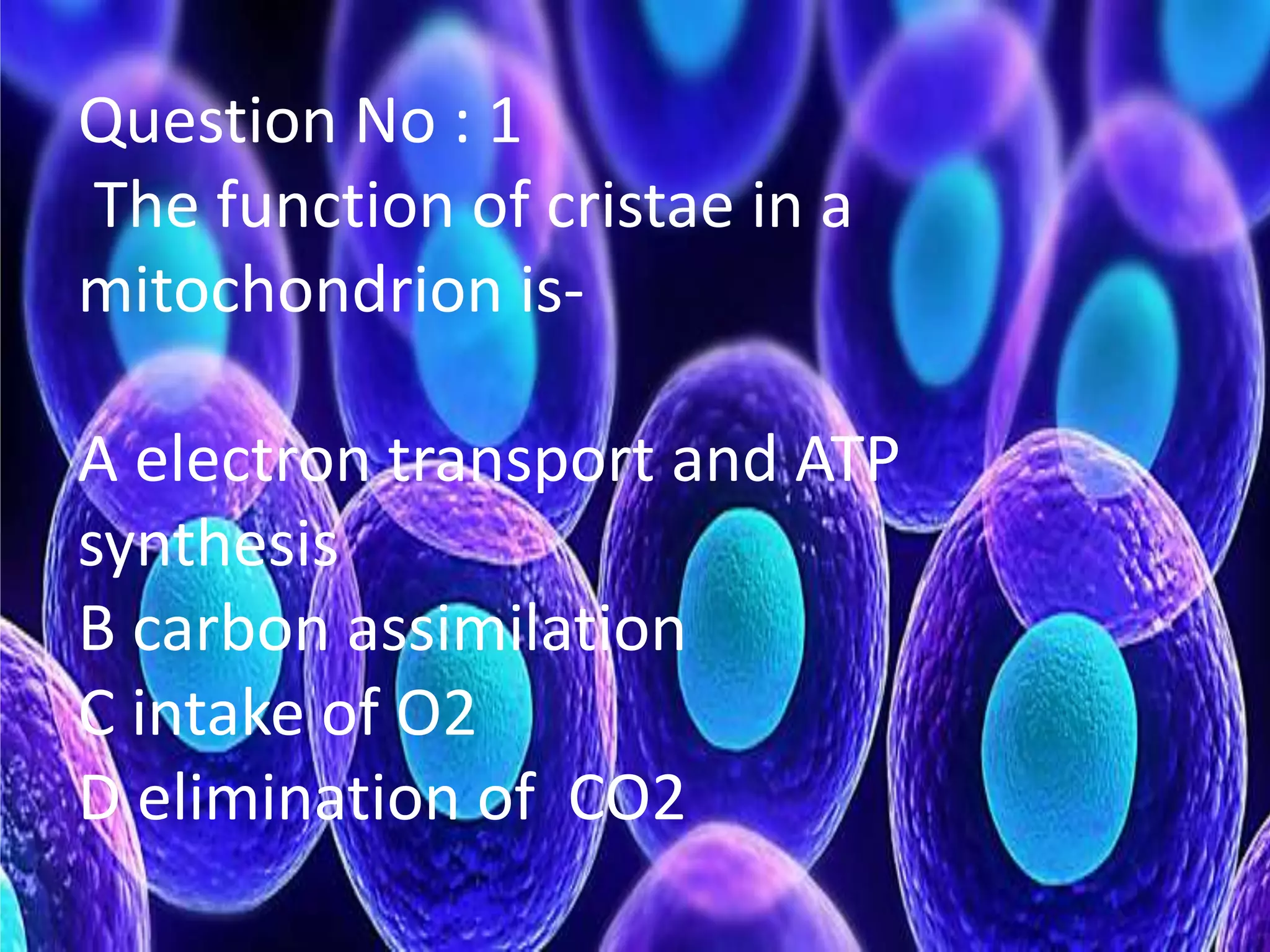 Cell biology quiz | PPT
