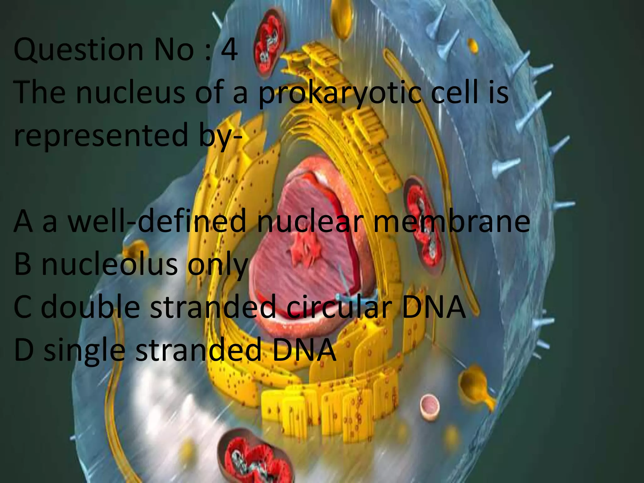Cell biology quiz | PPT