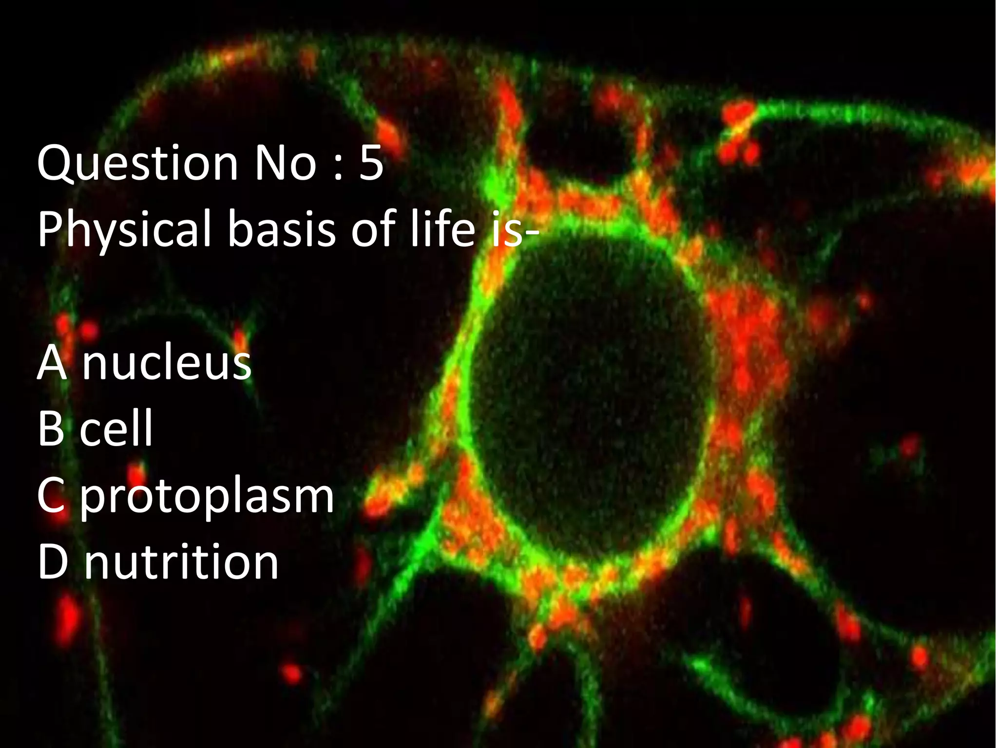 Cell biology quiz | PPT