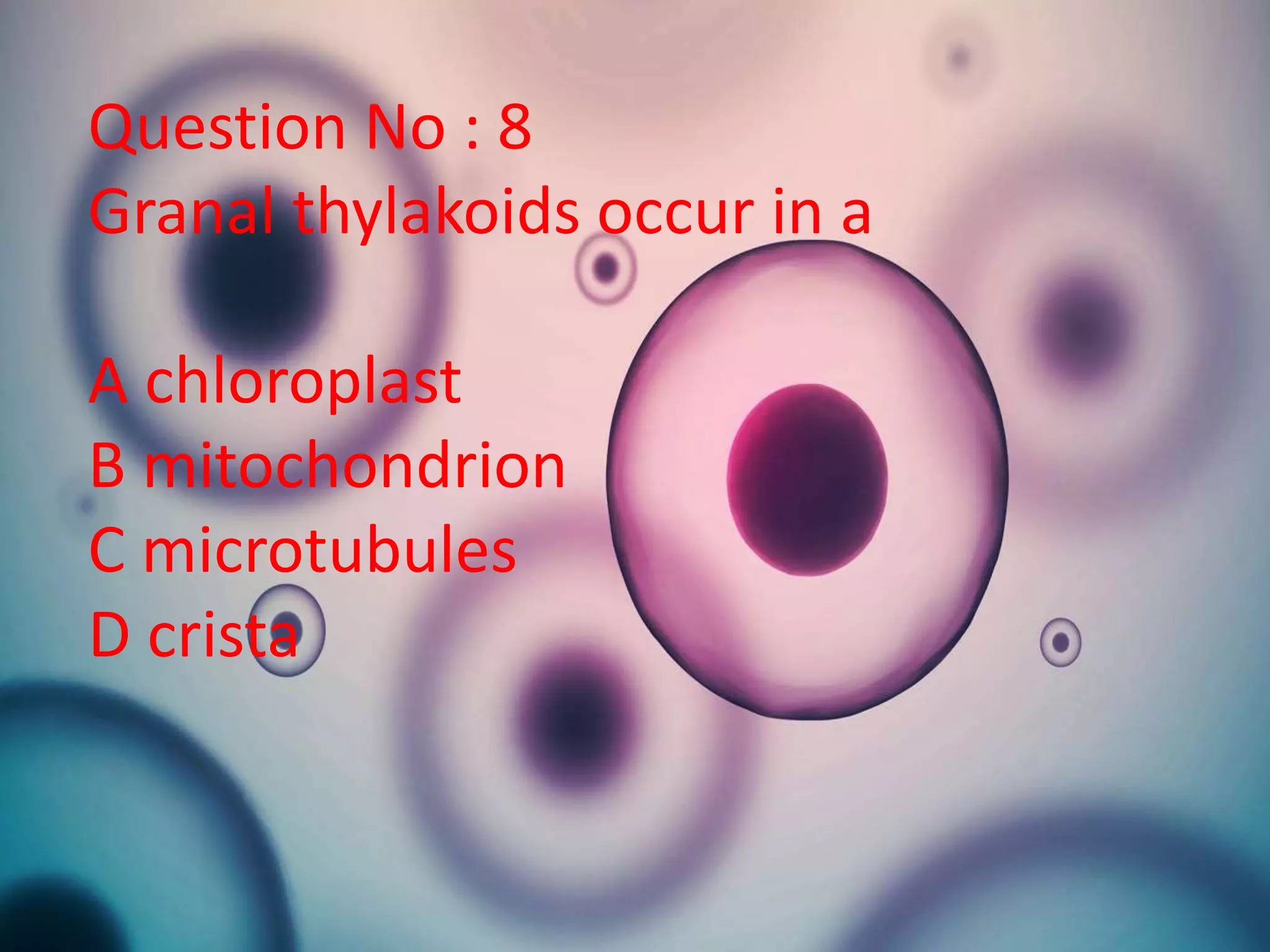 Cell biology quiz | PPT
