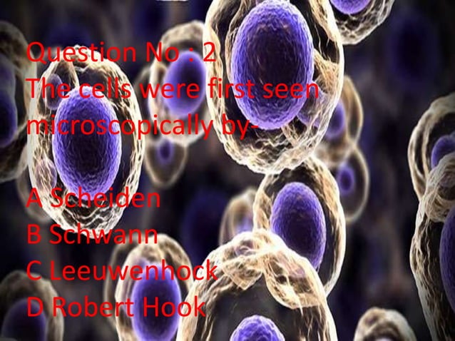 Cell biology quiz | PPT