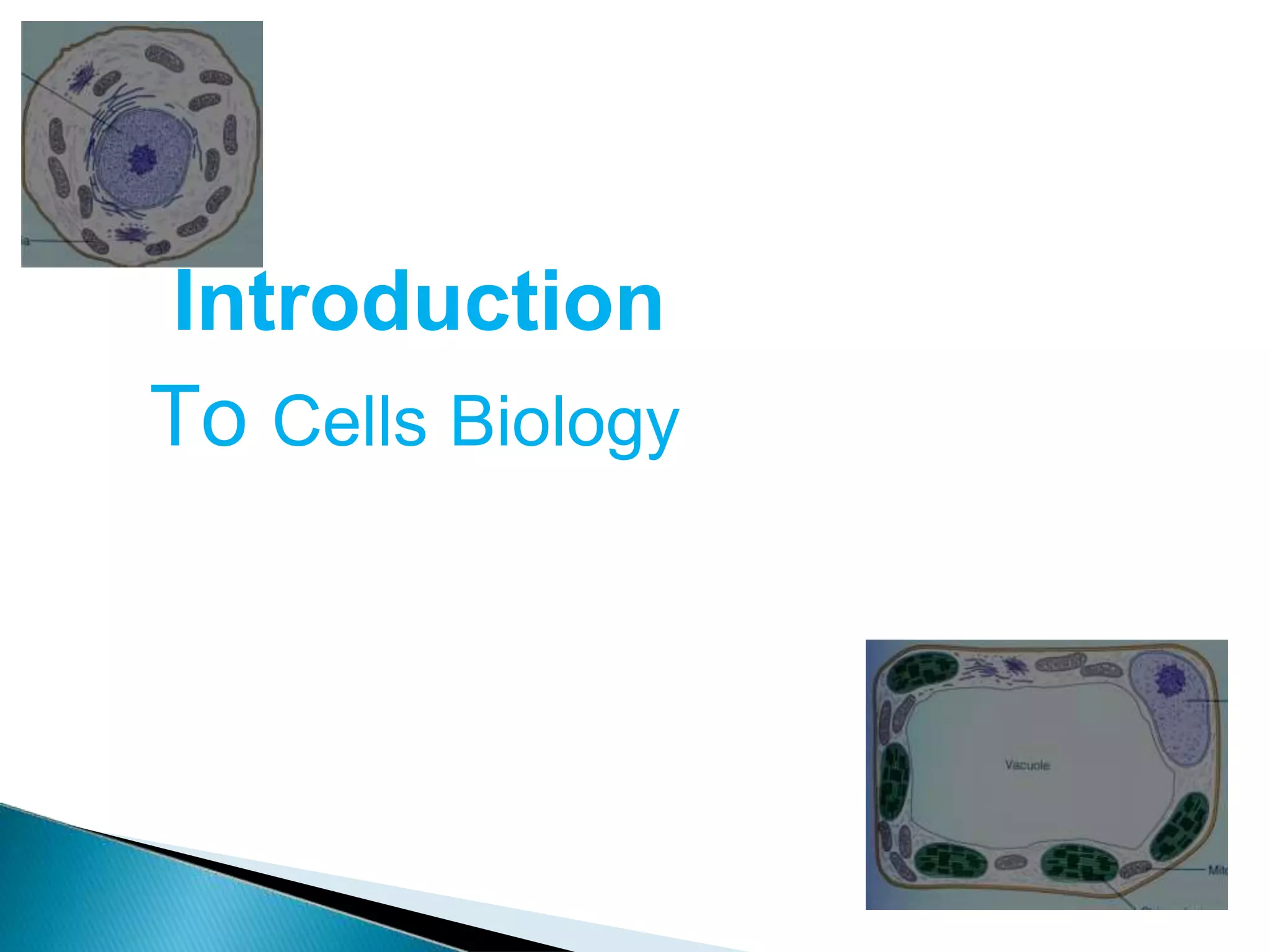 Cell biology ppt | PPTX