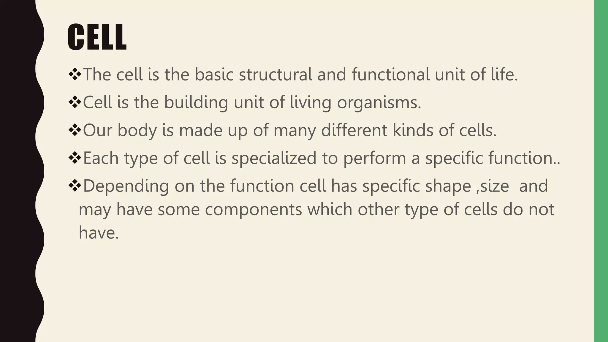 cell biology ppt.pptx