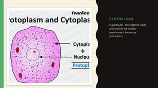 cell biology ppt.pptx